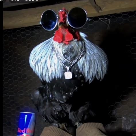 Andy Mayorga Gtz Youtube