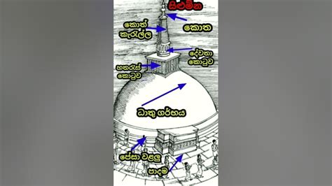 චෛත්‍යයක කොටස් I චෛත්‍ය අංග I දාගැබක කොටස් 🙏🙏 Shorts Education Shortsvideo Youtube