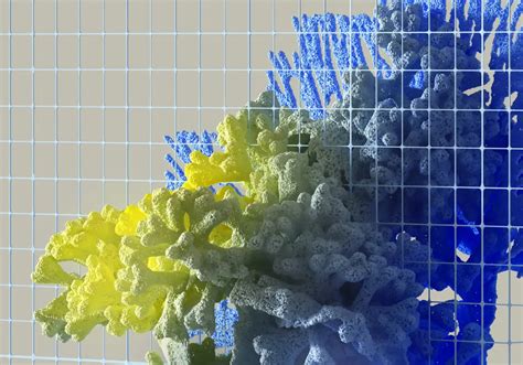 Dynamische Data Transformatie Service