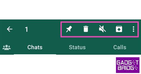 Demystified What Does Each Icon And Symbol Mean On WhatsApp