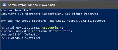Can T Delete Or Hide Duplicate Ubuntu Profile In Windows Terminal Super User