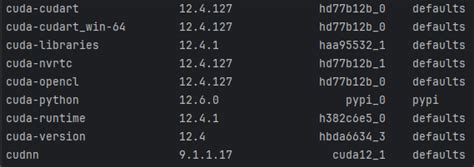 Onnxruntimegpu 运行时很慢， 还是用cpu的解决方案onnxruntime Gpu Cuda124 Csdn博客