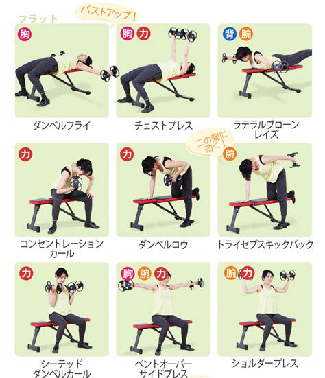 ダンベル筋トレ 図解 イラスト ダンベル 筋トレ メニュー 一覧 Bdmc