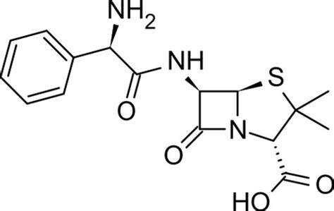 Ampicillin Trihydrate Usp Selection Antibiotic Toku E