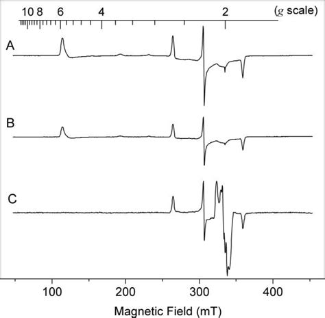 Heme Iron Nitrosyl Complex Of Maug Reveals An Efficient Redox Equilibrium Between Hemes With