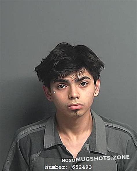 Herrera Edgar Ignacio 04 20 2025 Montgomery County Mugshots Zone