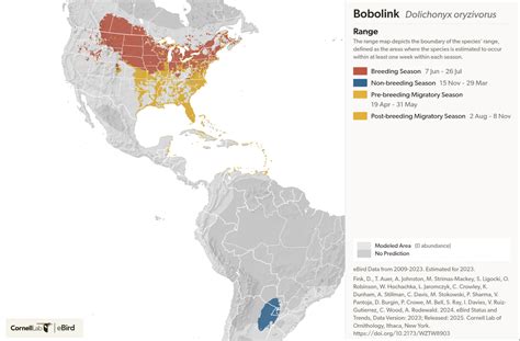 Bobolink Bobo Land Trust Bird Conservation Initiative Bobolink Bobo Land Trust Bird Conservation Initiative