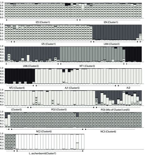 Bayesian Analysis Of Lupinus Montanus Var Montanus Performed By