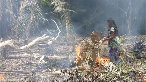 Ahuani Nihua Exclaiming To Have A Good Chakra Youtube