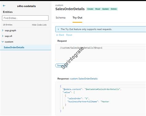 Graph On Sap Integration Suite A Beginners Guide Part 3 Building Custom Entities