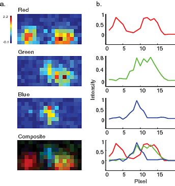 PDF Rendering Of Images Seems To Vary From Viewer To Viewer With Blurring Super User