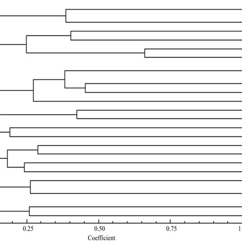 Cluster Analysis Of 25 Soybean Cultivars Generated From 30 Genomic Ssr Download Scientific