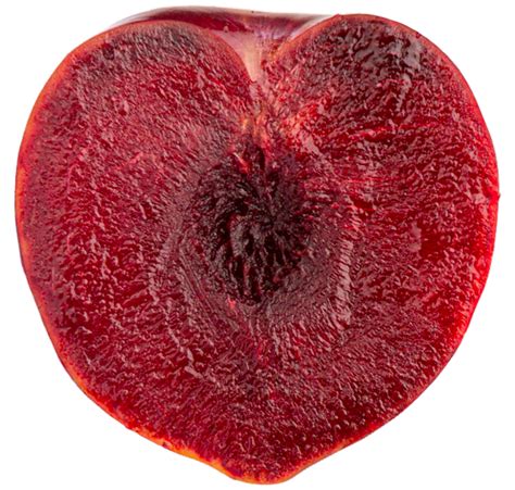 Prune Lovita Plum La Prune Lovita