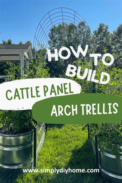 DIY Cattle Panel Arch Trellis For Vertical Gardening Simply DIY Home