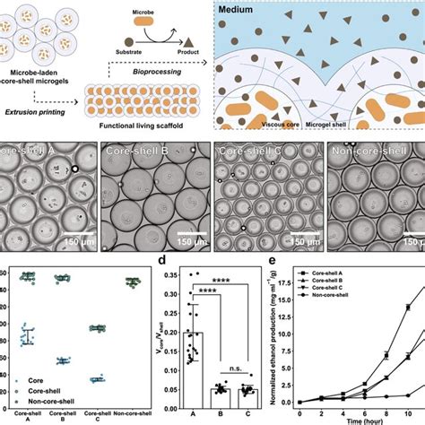 Microfluidic Templating Of Core Shell Microgel Building Blocks For Download Scientific Diagram