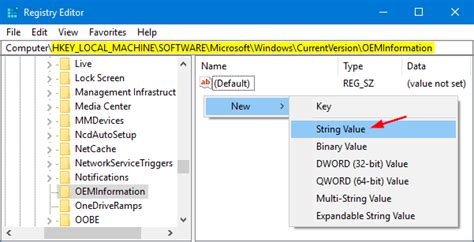 Add Oem Support Information To Your Windows 10 Computer Password Recovery