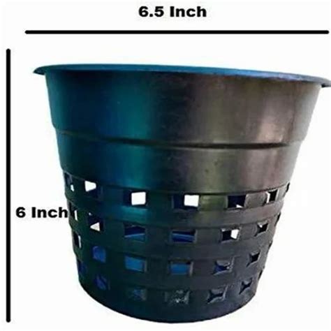 Plastic Rectangular Orchid Pots At ₹ 55piece Gurgaon Id 2857717558397