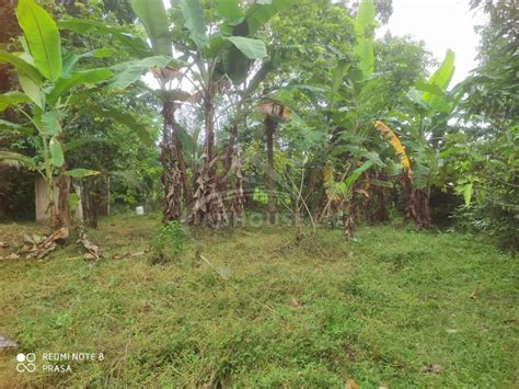 Land For Sale With A Shop Raddolugama In Sri Lanka Anything At Your