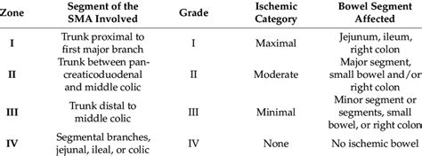 Fullen Anatomic Classification Of Superior Mesenteric Artery 30