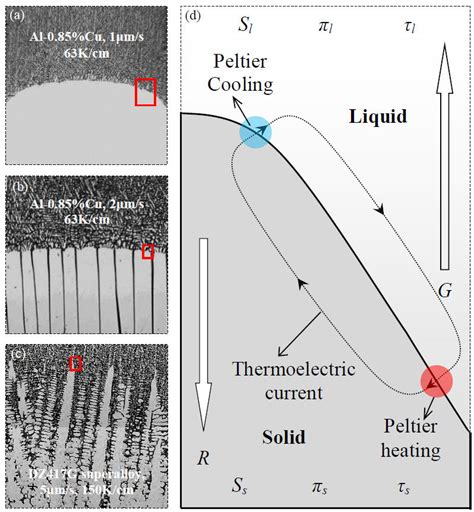 5 A Planar Interface B Cellular Interface C Dendritic
