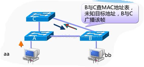 Cisco学习笔记（五）spt生成树协议spt协议 Csdn博客