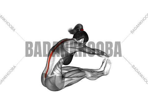 حرکت کششی فیله 1330