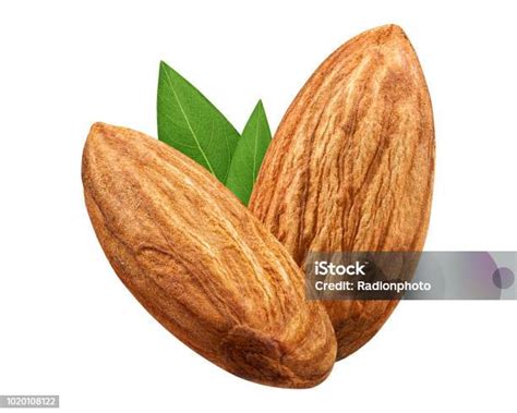 2 아몬드 패키지 디자인 요소에 흰색 배경으로 잎 껍질 없이 근접 촬영을 격리 그룹 너트 매크로 개념입니다 필드 의 전체