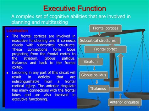 Bedside Cognitive Assessment Instruments And Applicability Ppt Download