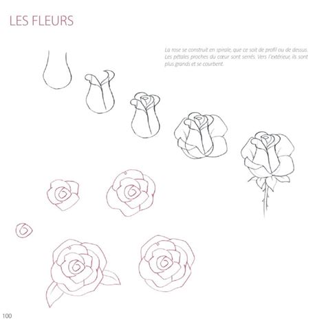 Learn How To Draw Roses