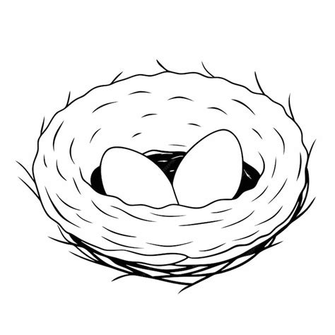 Premium Vector Black Outline Illustration Bird Nest For Coloring Page