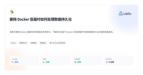 删除 Docker 容器时如何处理数据持久化 Labex