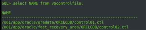 Controlfile Multiplexing In Oracle Database Dba Postmortem