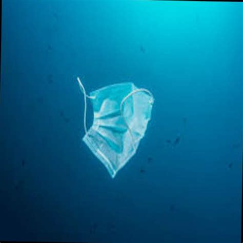 Xdcfvg Object Detection Model V2 2024 04 02 8 44am By Eusrudnn