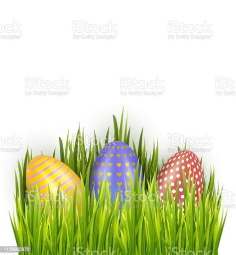 다채로운 꾸며진된 부활절 달걀 흰색 배경에 고립 된 신선한 녹색 잔디입니다 수평 휴가 배너 장식 벡터 일러스트 레이 션 0명에 대한 스톡 벡터 아트 및 기타 이미지 Istock