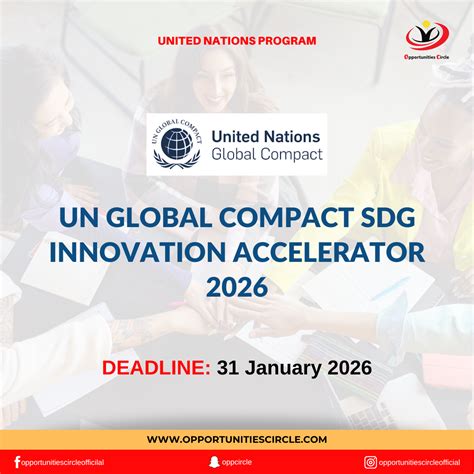 Un Global Compact Sdg Innovation Accelerator Program Internațional Pentru Tineri
