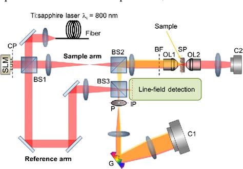 Figure 1 From Measurement Of The Time Resolved Reflection Matrix For