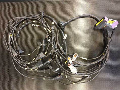 Ecu Master Classic Pinout Guide Comprehensive Wiring Diagram And Setup