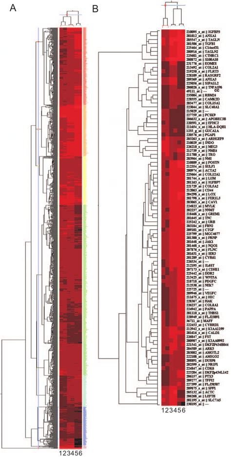 Hierarchical Clustering Of Biological Replicates Log Transformed
