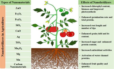 Different Types Of Nanomaterials Used As Nanofertilizers And Their Download Scientific Diagram
