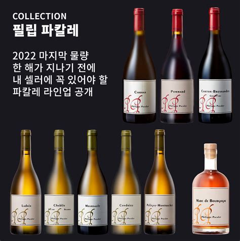 BRAND 필립 파칼레 뉴 릴리즈 비티스몰 VITIS MALL