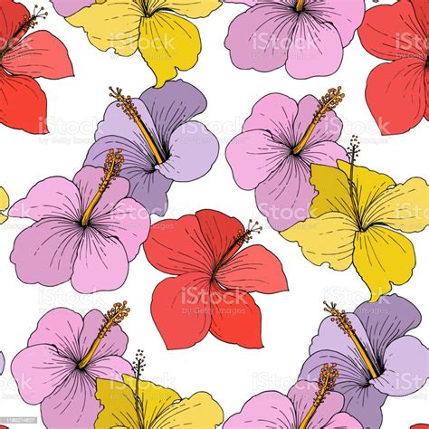 벡터 히비스커스 꽃 열대 꽃입니다 흰색 배경에 잉크 아트가 새겨진 원활한 배경 패턴 0명에 대한 스톡 벡터 아트 및 기타 이미지 0명 가을 검은색 Istock