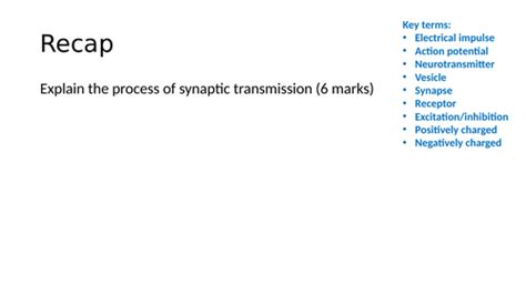 Aqa Psychology Biopsychology Localisation Of Function Teaching Resources