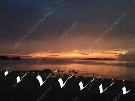 대부도 홀리데이 캠핑장 익스트림바다사이트원가 12만 여행숙박이용권 중고나라