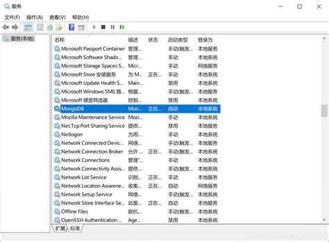 Windows 安装 Mongodb 并且使用navicat 导入 Json数据库文件navicat Mongo 导入bson Json 文件 Csdn博客