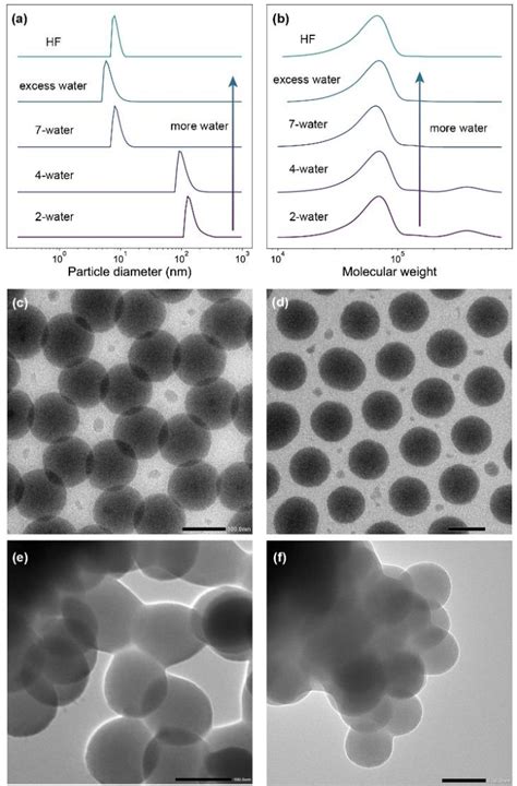 A Normalized Number Weighted Size Distribution From Dls And B Sec Download Scientific