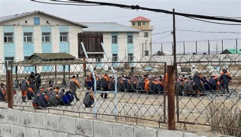 Монгол улсад 218 эмэгтэй 32 гадаадын иргэн ял эдэлж байна