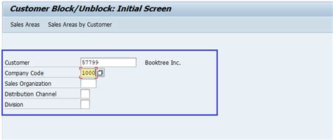 sap fi block customer