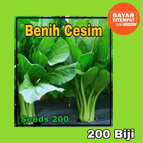 Bibit Benih Sayur Cesim Isi 200 Biji Lazada Indonesia