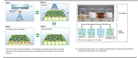 Pushpendra Singh Chauhan Posted On Linkedin