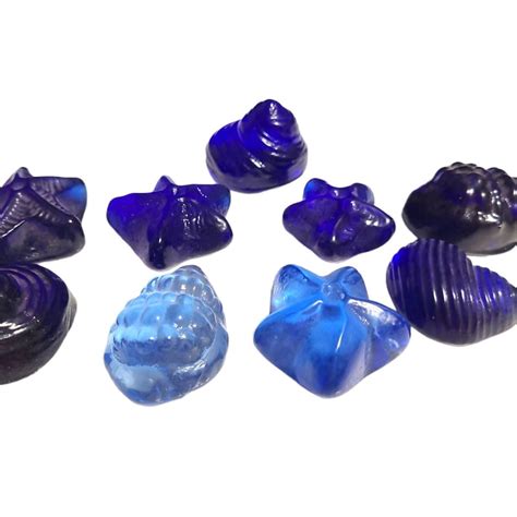 Assorted Seashells Etsy